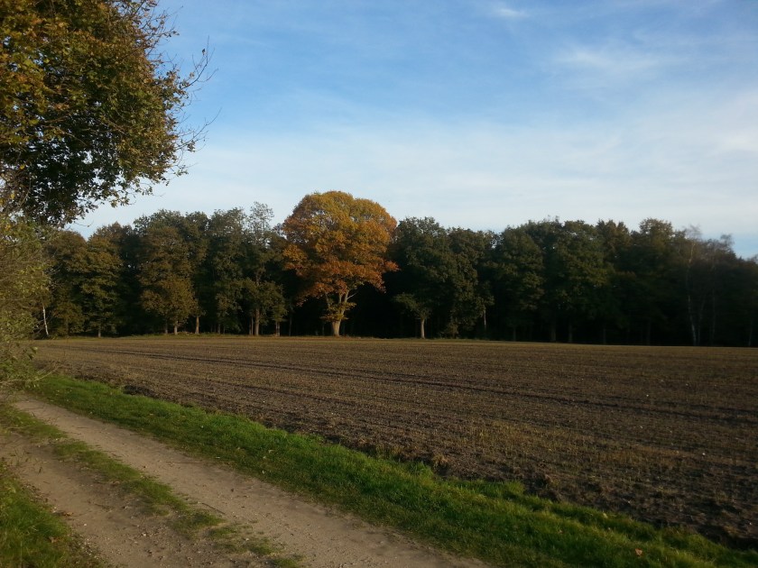 Hoe maak je een rondeel? – Gekleurde Gedachten