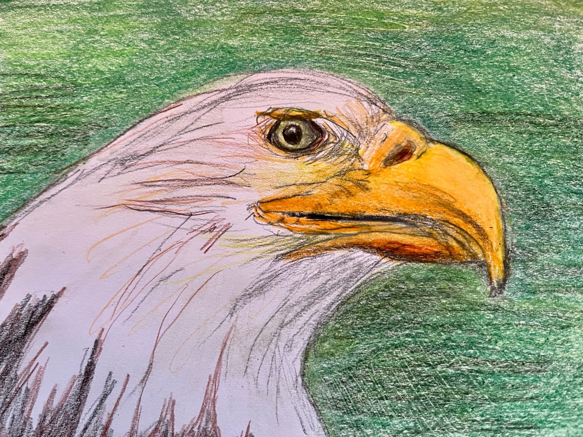 De zachtaardigste zijn meestal het valst – Alzirr Coaching & Advies